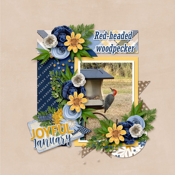 January Scrapbooking Layouts | Carla's Treasures